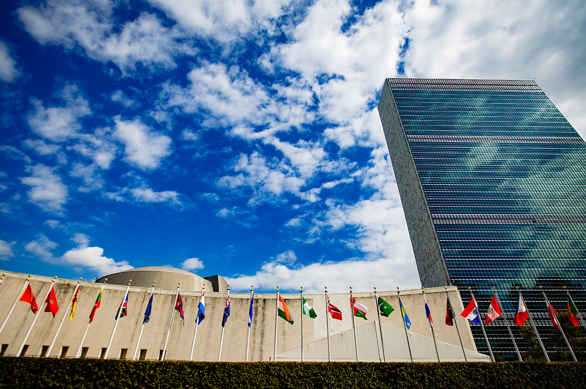 Virtual buyers meeting with the UN | CCMM