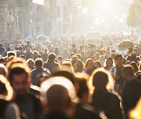 Omnibus Survey | CCMM