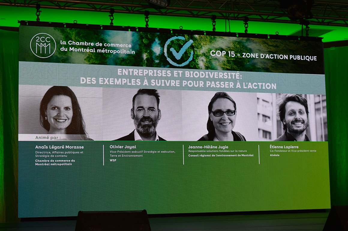 COP15 Conference ‒ Businesses and biodiversity: examples for action | CCMM